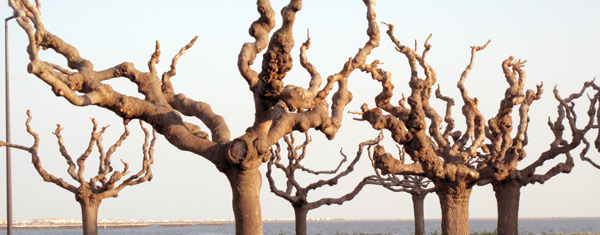 Untitled Document [cs.nyu.edu]